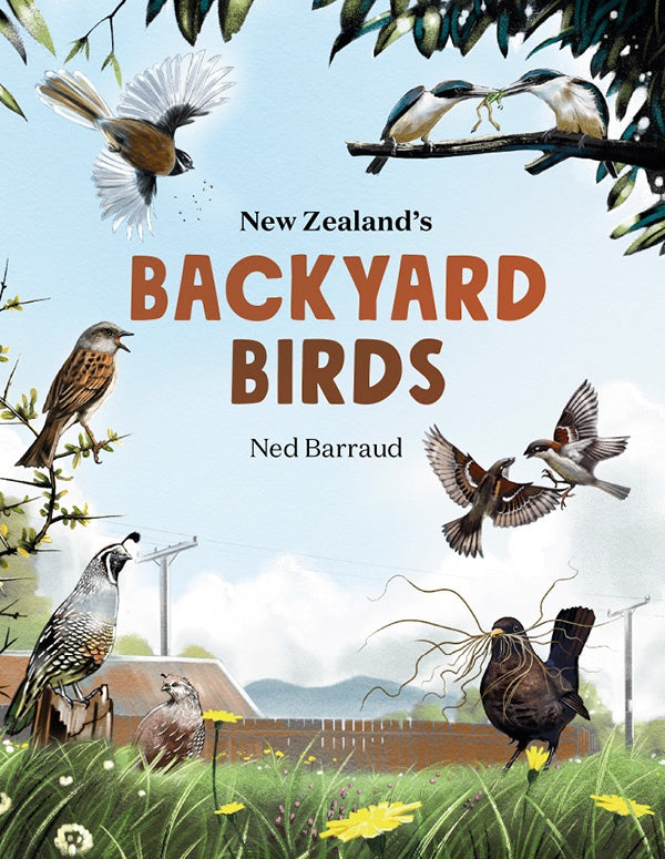 New Zealand's Backyard Birds By Ned Barraud – PaperTree
